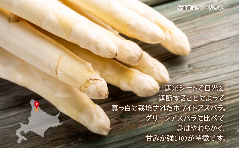 【2025年発送】 ホワイトアスパラ 1kg(2L～3L ) 【優品】 白 旬 新鮮 野菜 朝採れ アスパラ アスパラガス ジューシー ギフト 産地直送 お取り寄せ フレッシュ 丁寧 健康 ...
